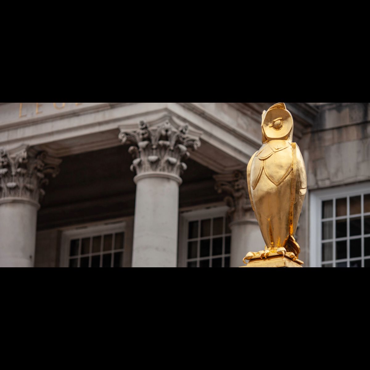 A community committed to sexual violence prevention: Alison Lowe