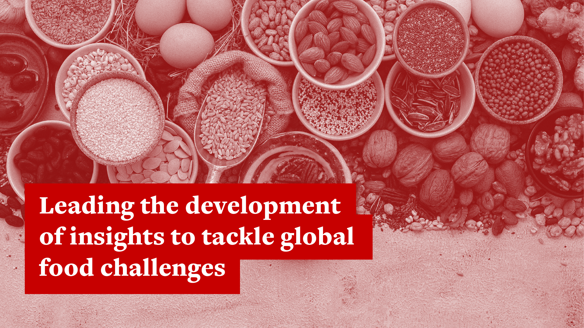 Leading the development of insights to tackle global food challenges