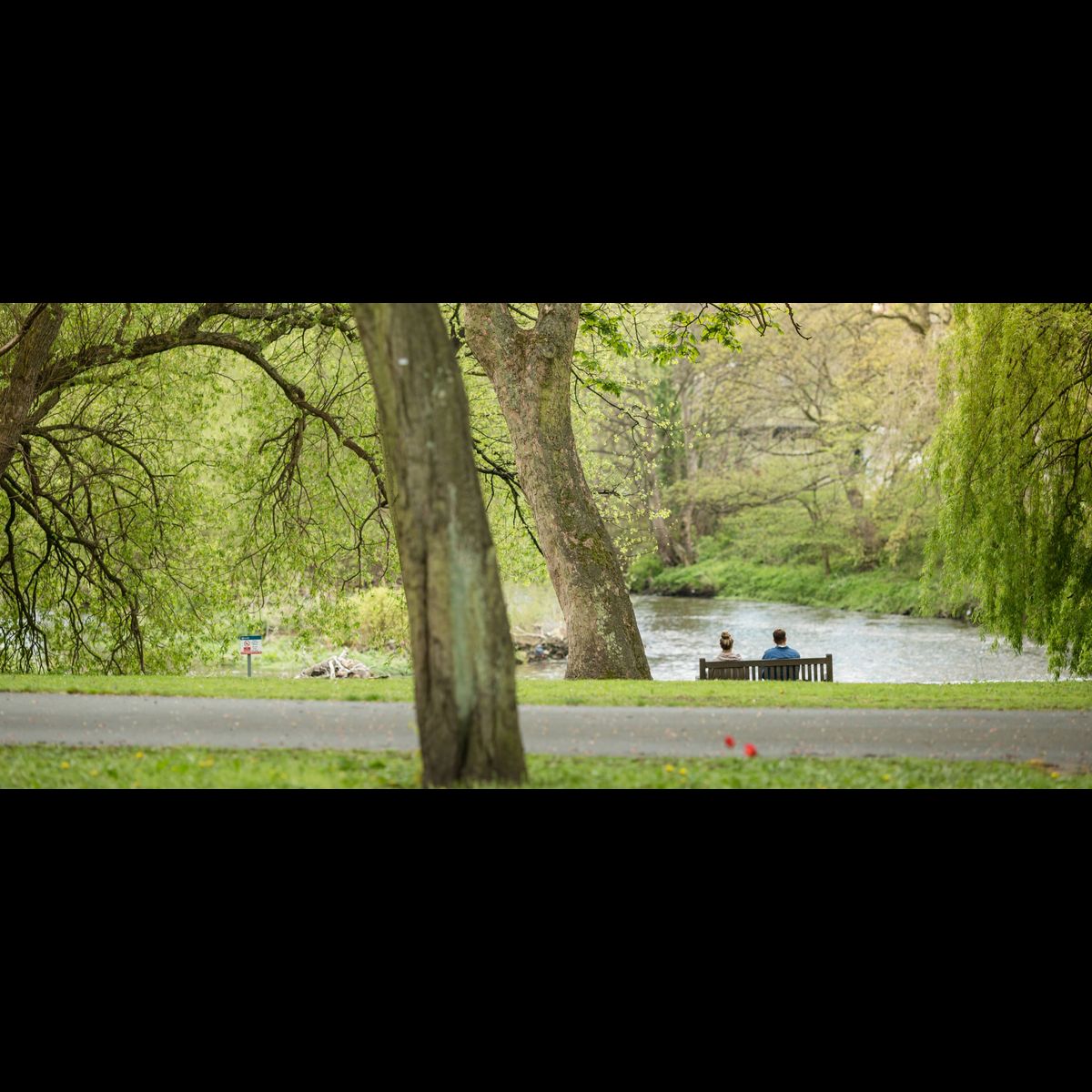 A community committed to sexual violence prevention: Anna Barker