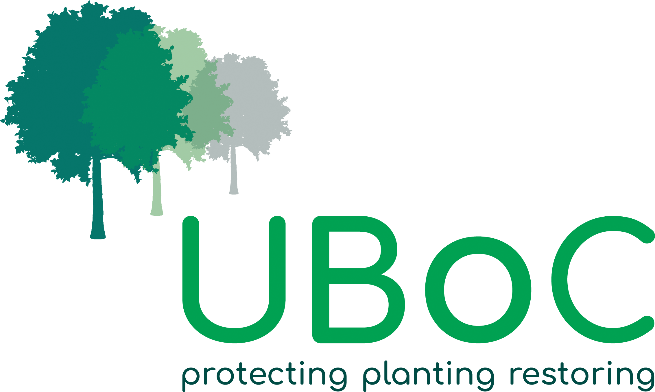 Celebrating over 10 years of United Bank of Carbon and the University ...