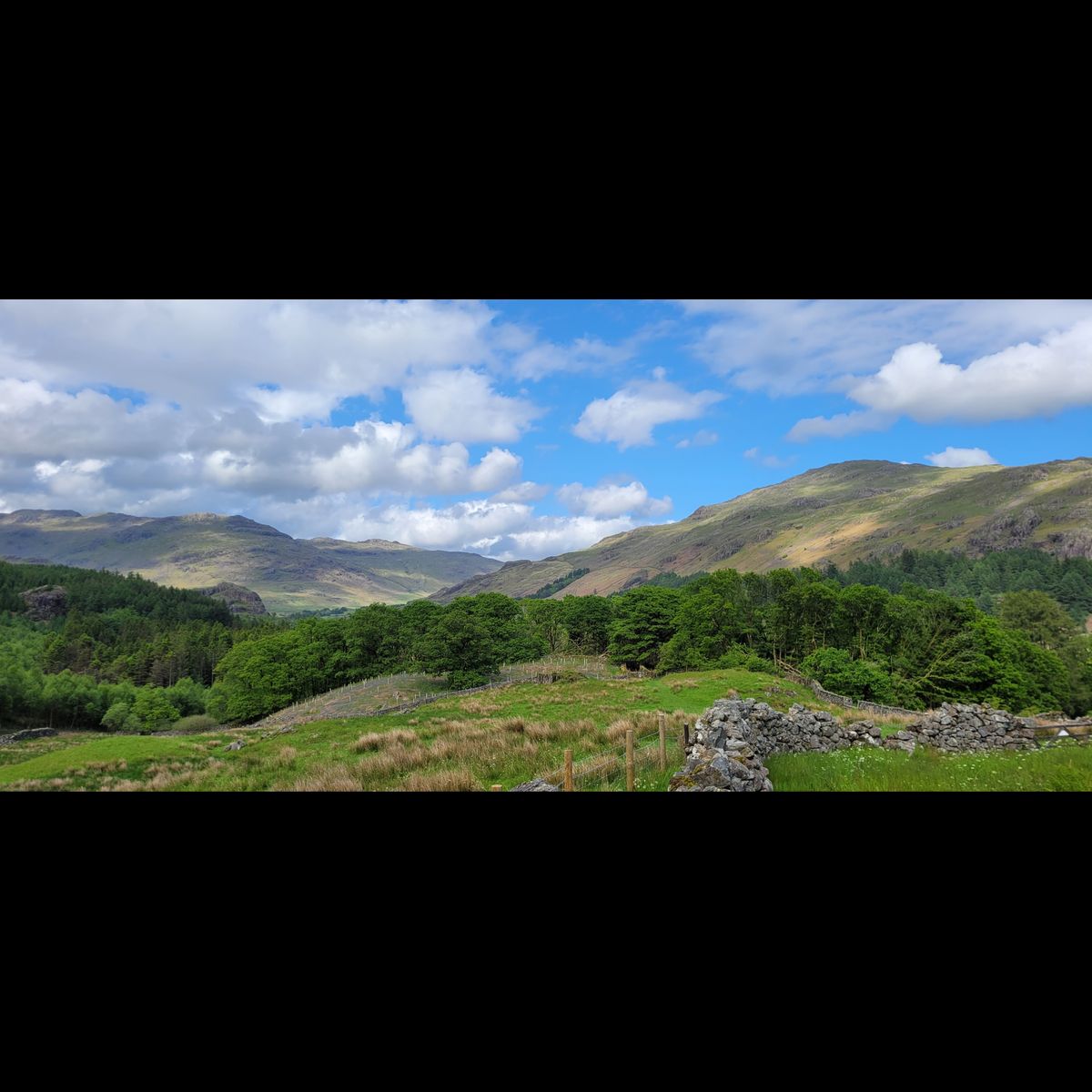 Getting back to nature